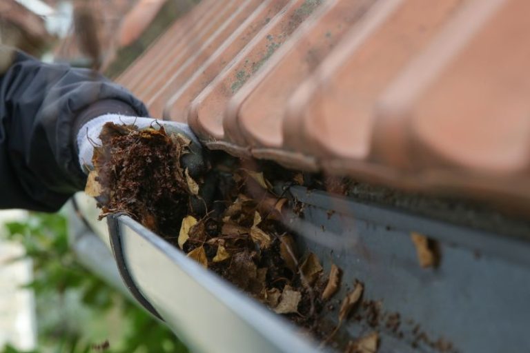 How Weather Affects Your Drains and How to Prepare